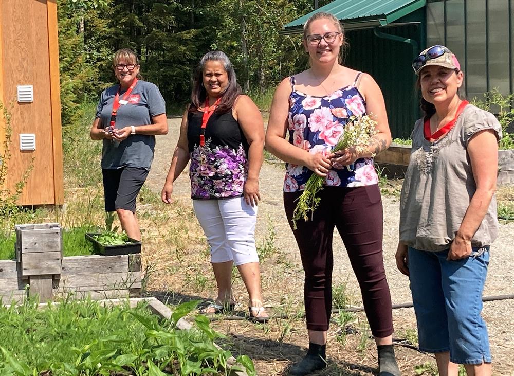 Traditional Indigenous plant project grows knowledge and understanding