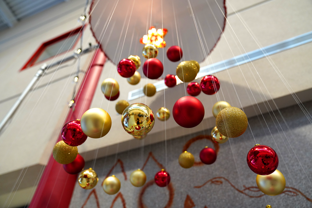 “Invisible Tree” for invisible disabilities celebrates being different ...